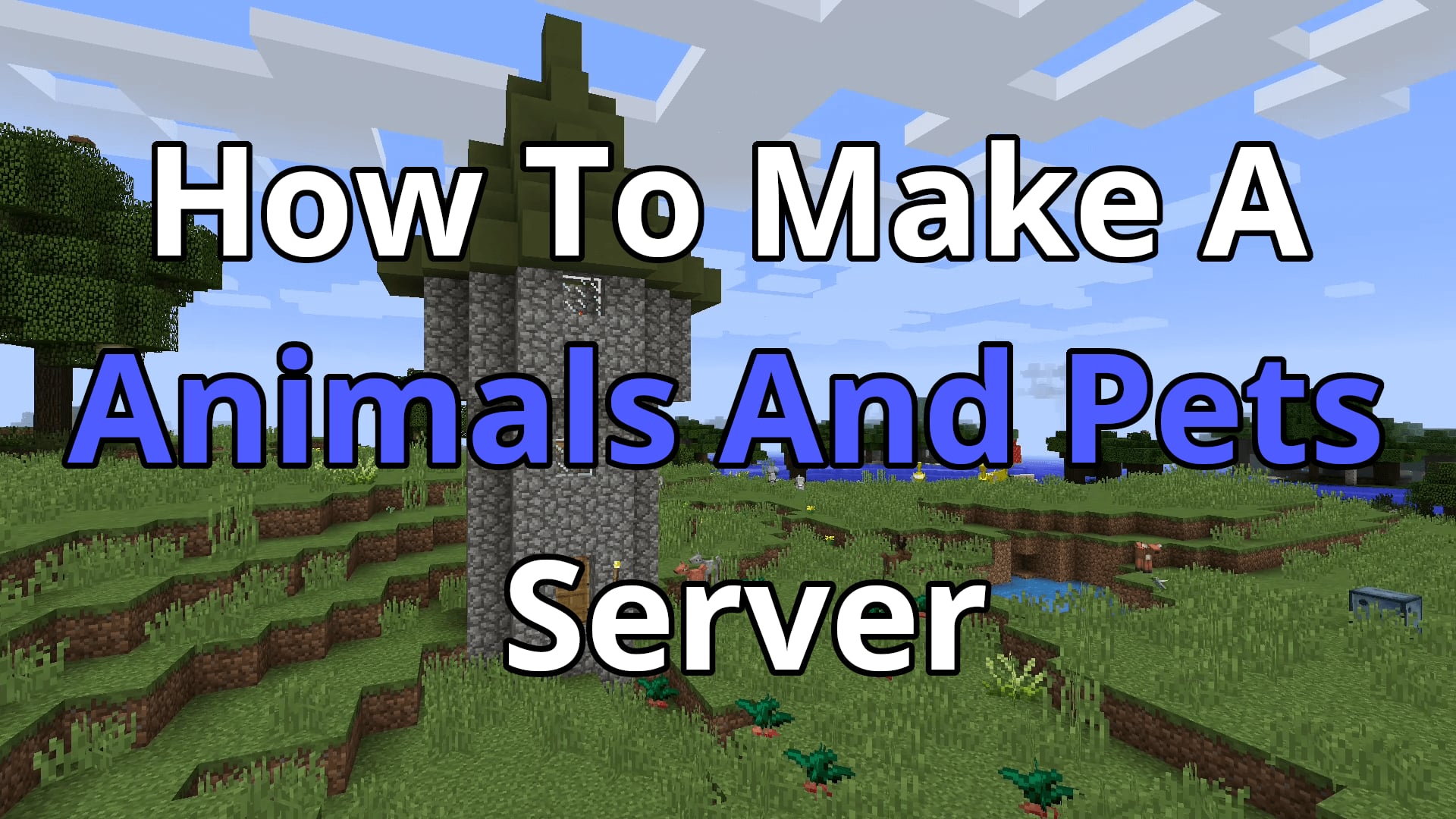 How To Make A Animals And Pets Server - Animals And Pets Server Hosting ...