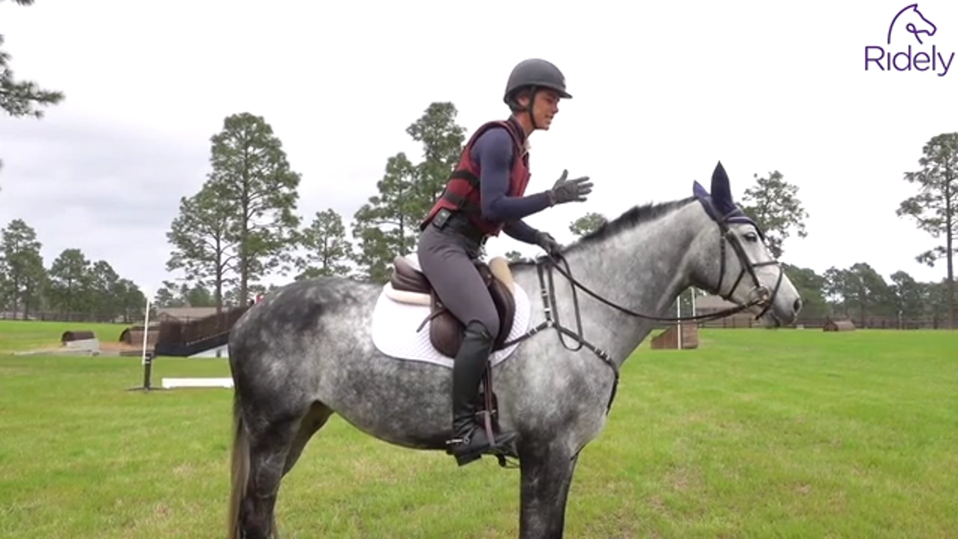 Galloping Position | Ridely