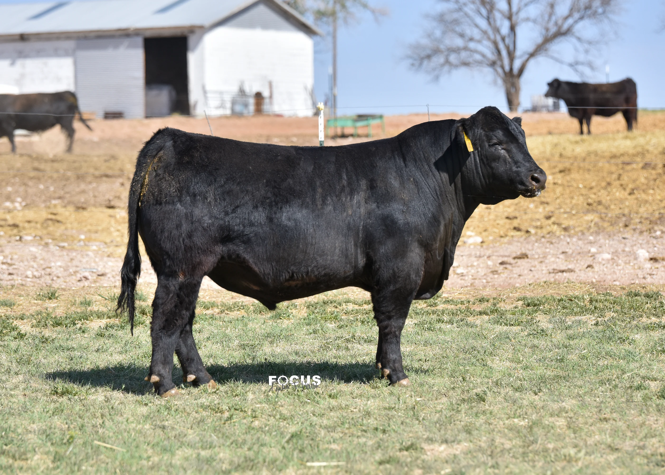 Lot 102 - 0027H on Vimeo