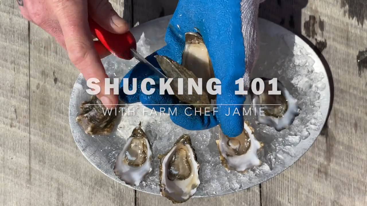 Oyster Shucking 101 on Vimeo