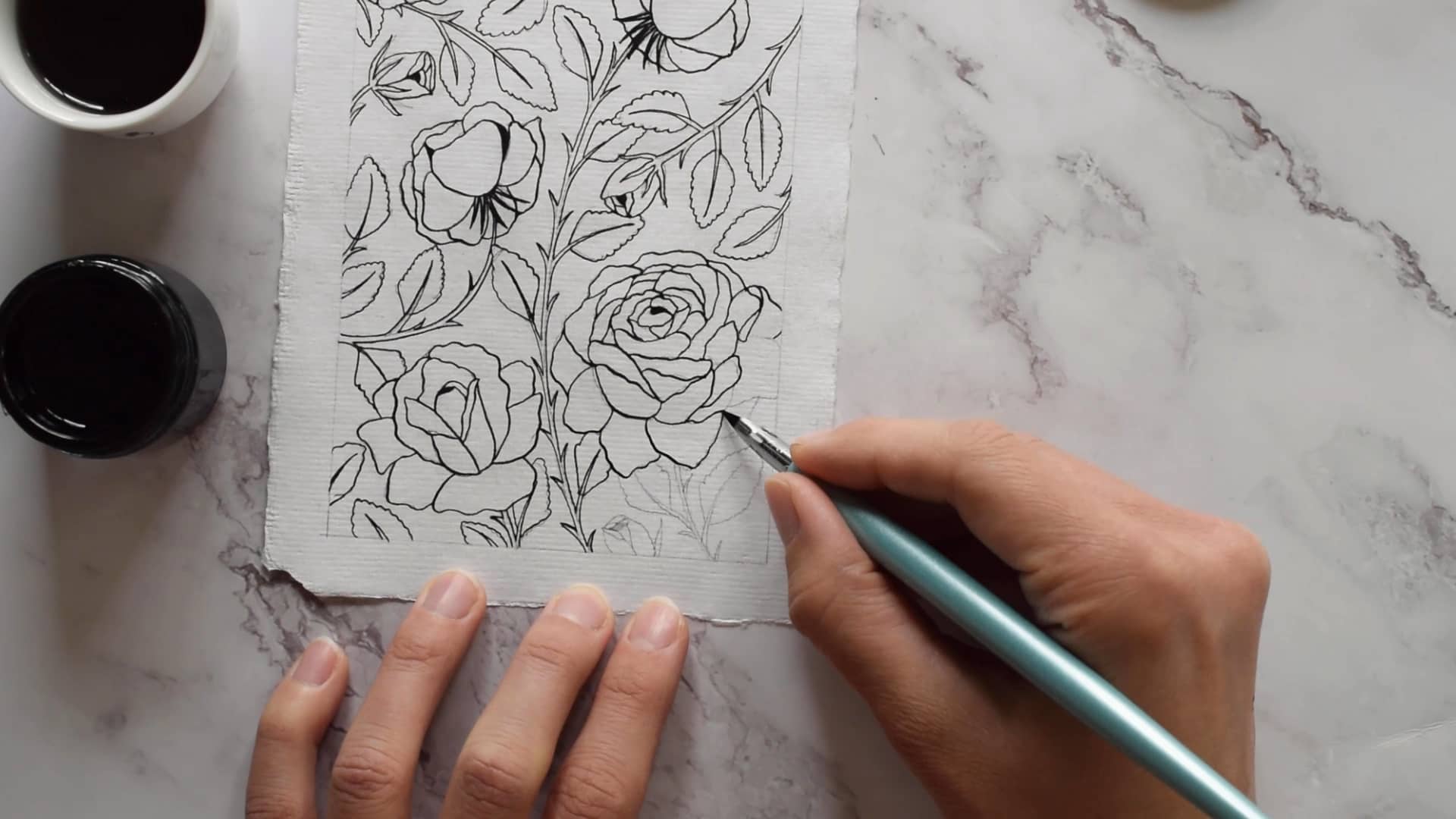 Adding Ink to the Vintage Rose Illustration on Vimeo