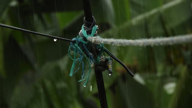 Wires Ropes Rain - Free video on Pixabay