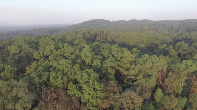 Ethiopia, Kaffa, Bonga. Free Stock Video - Pixabay