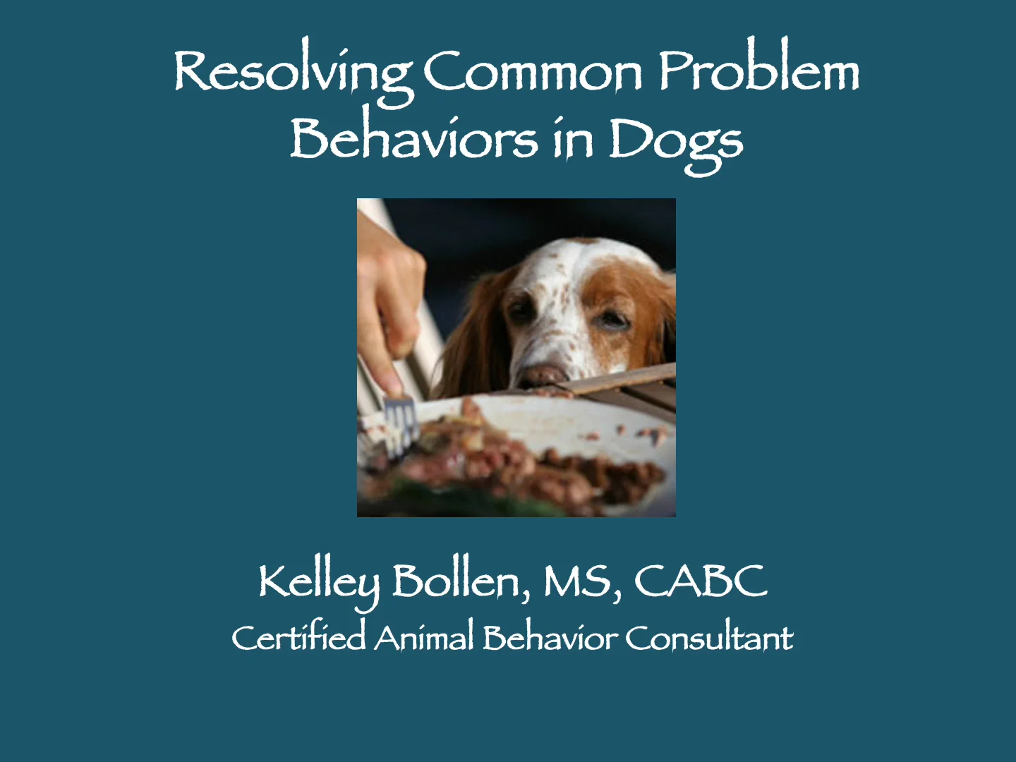 Watch Resolving Common Problem Behaviors in Dogs Online | Vimeo On ...