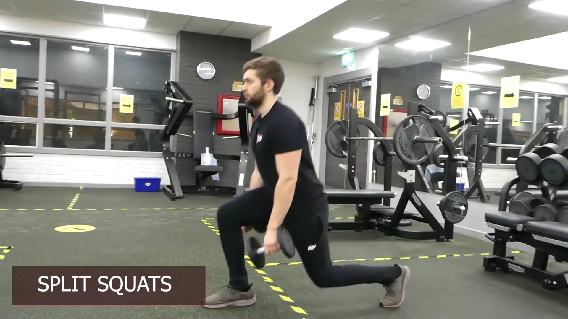 Split Squats on Vimeo