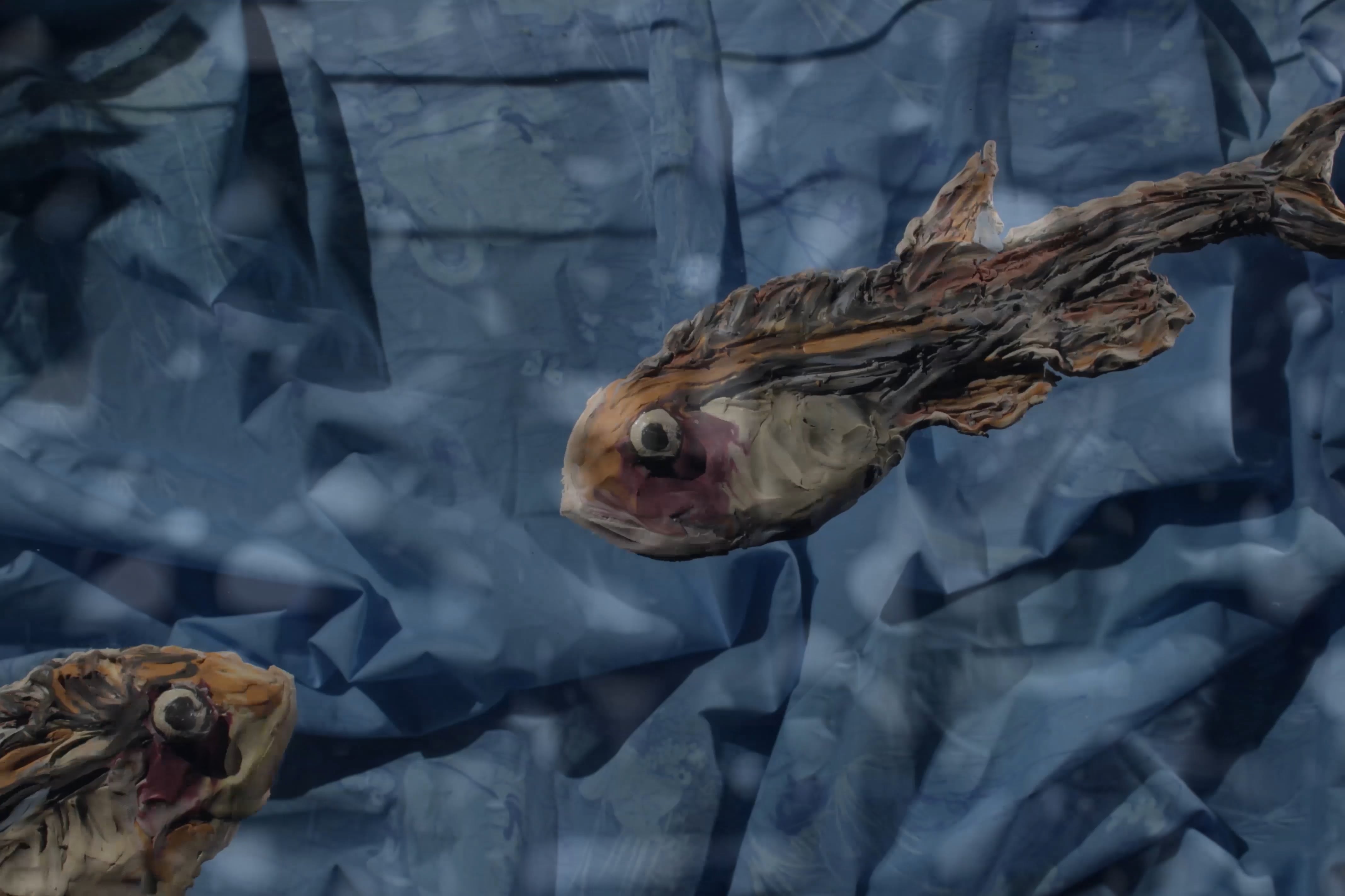 Zebrafish-animation on Vimeo