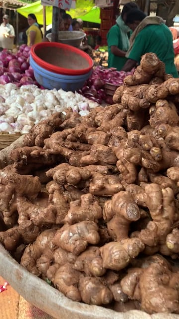 Bottle Gourd, Vegetables, Green. Free Stock Video - Pixabay