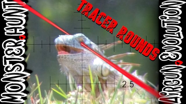 EPIC Slo Motion TRACER ROUNDS Iguana Dinosaur Hunting Airgun Evolution ...