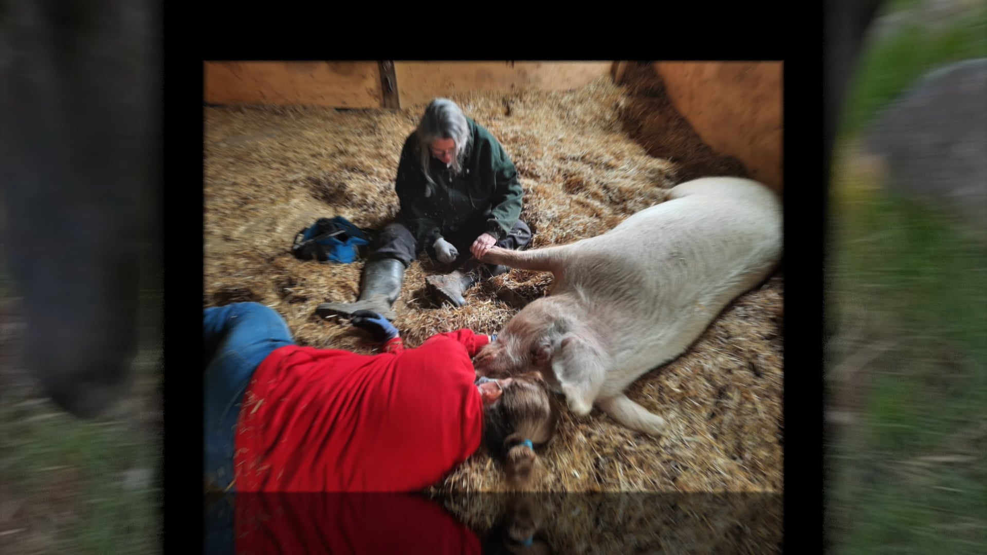 heefs saturday morning crew!!! on Vimeo