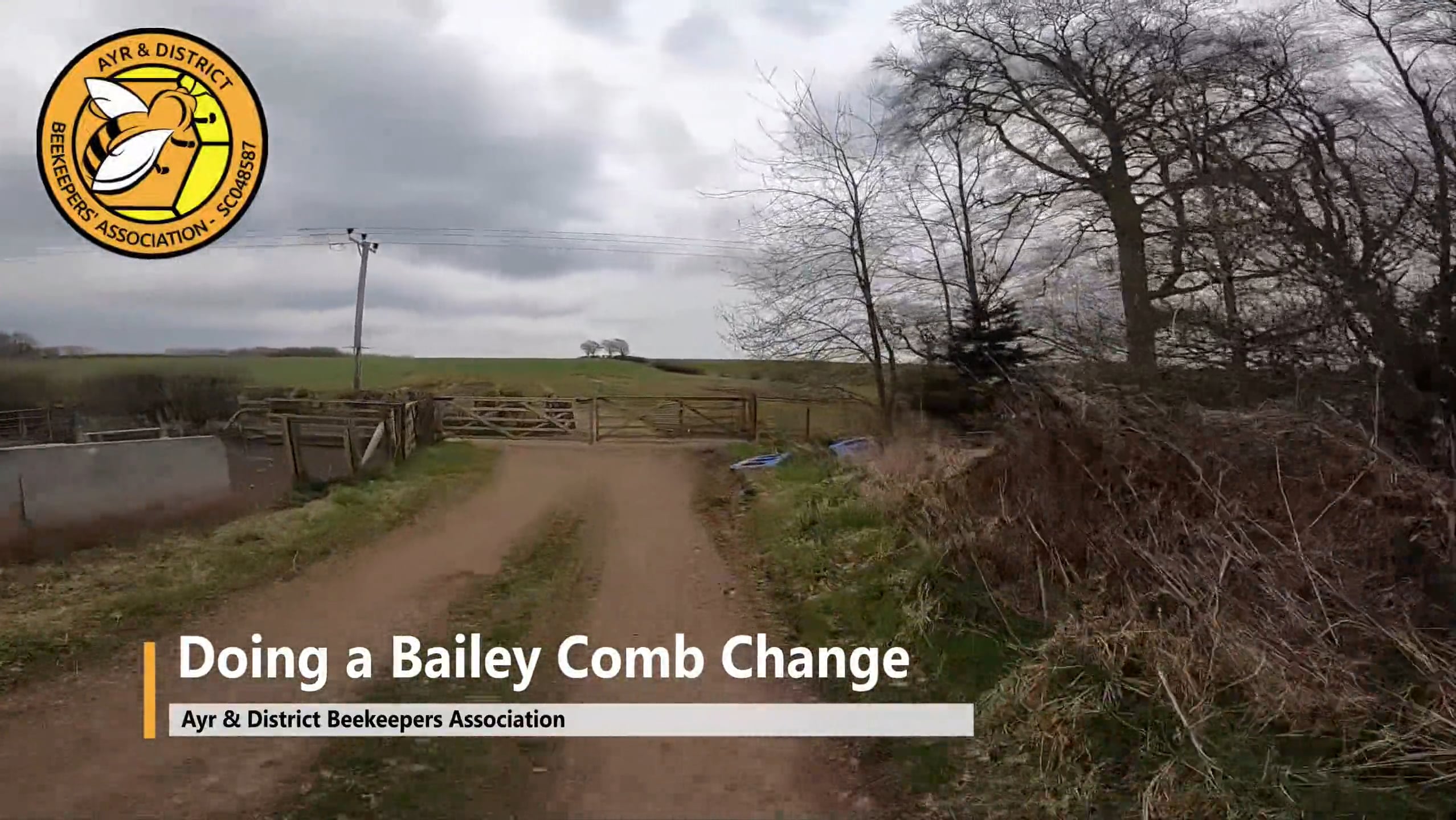 Doing a Bailey Comb Change - Part 1 on Vimeo
