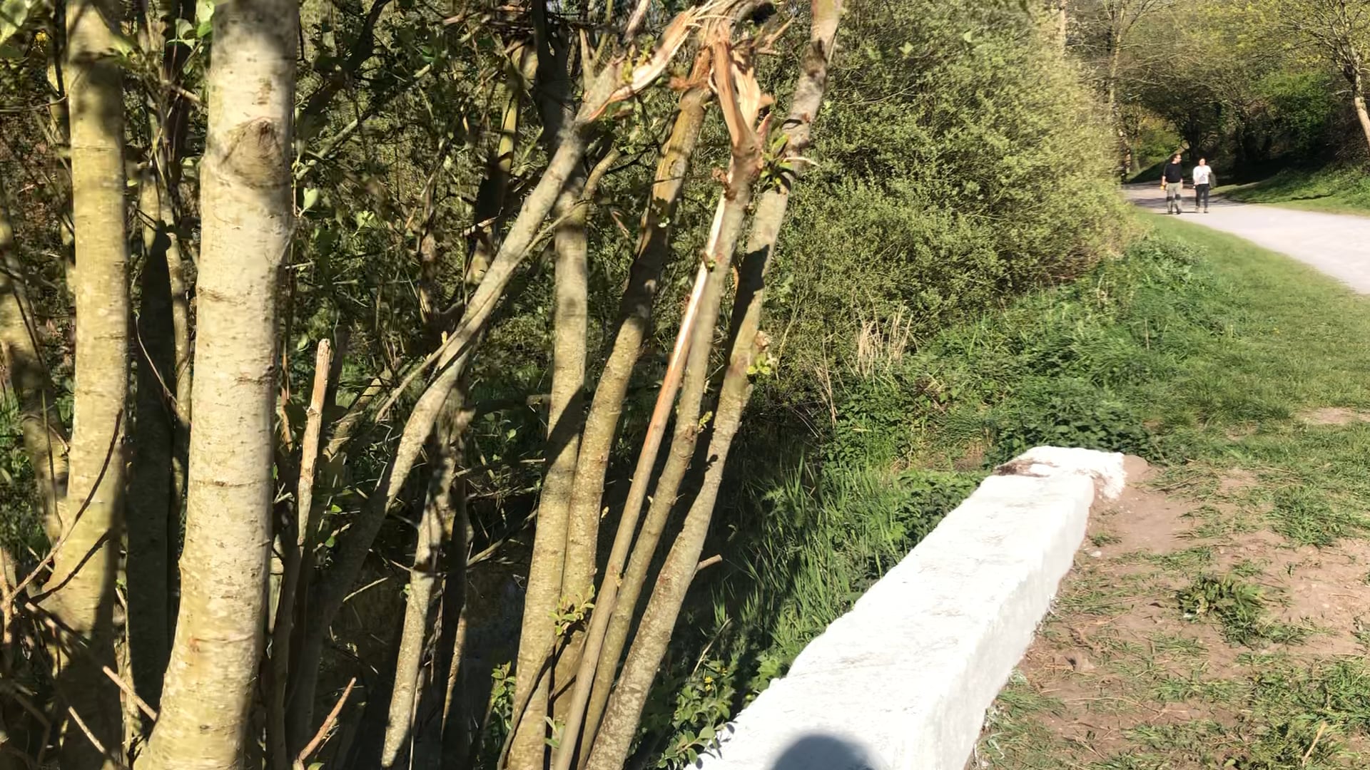 hatching pink hatch on Vimeo