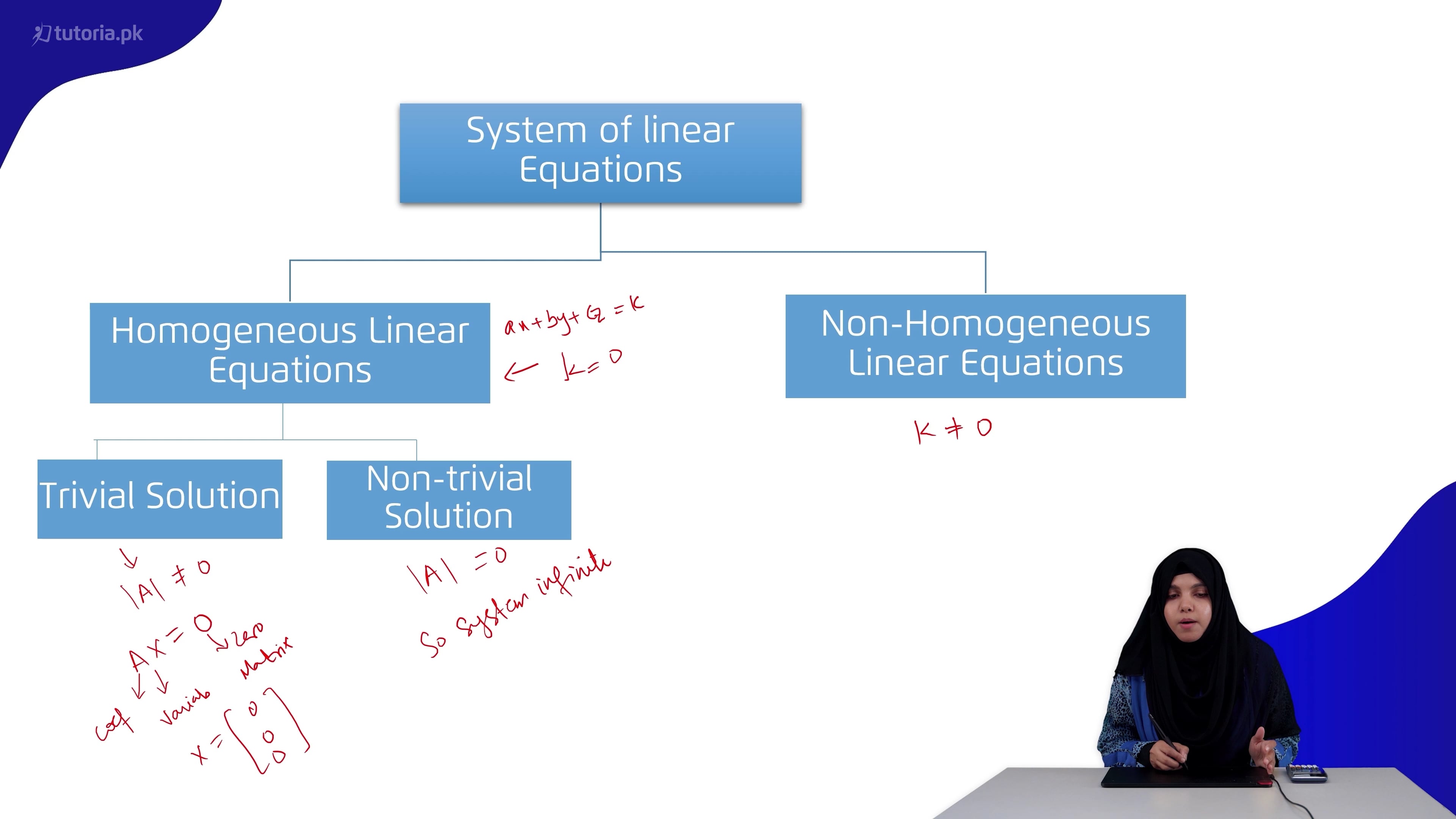 Maths-Grade-11-Chapter-3-311-System-of-Linear-Equations on Vimeo
