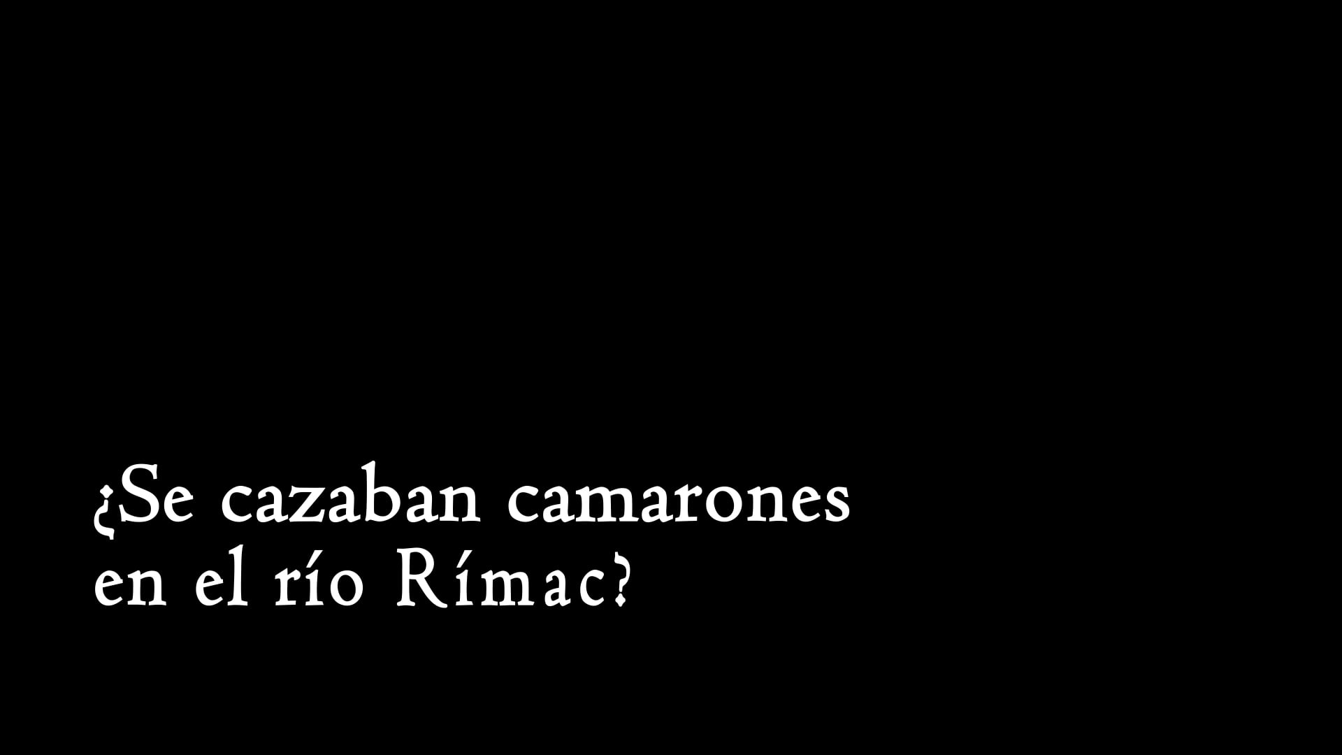 Camarones en el río Rímac on Vimeo