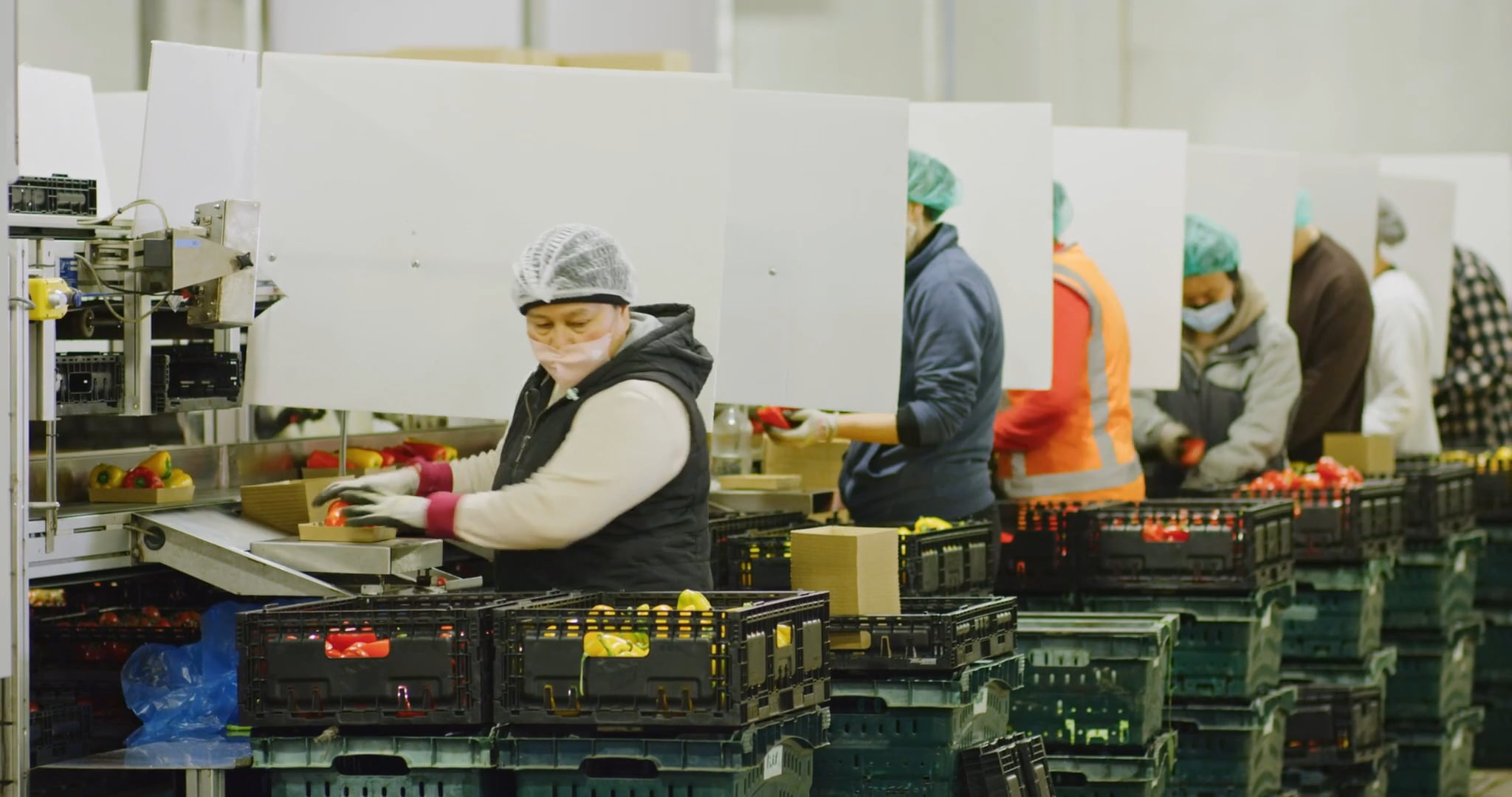 Packing Team Member on Vimeo