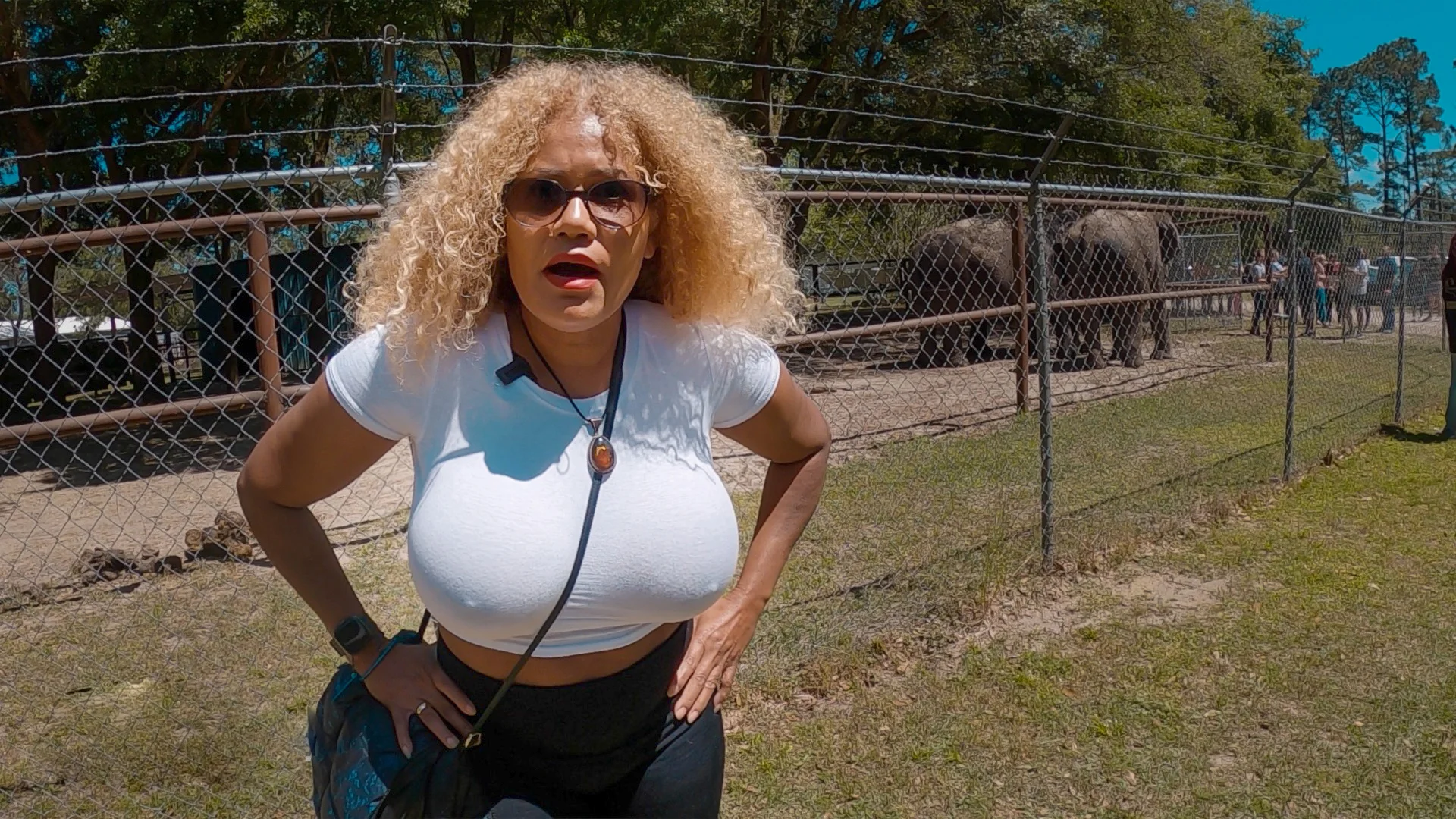 Elephants, Clams and Mango Maddy explores Williston on Vimeo