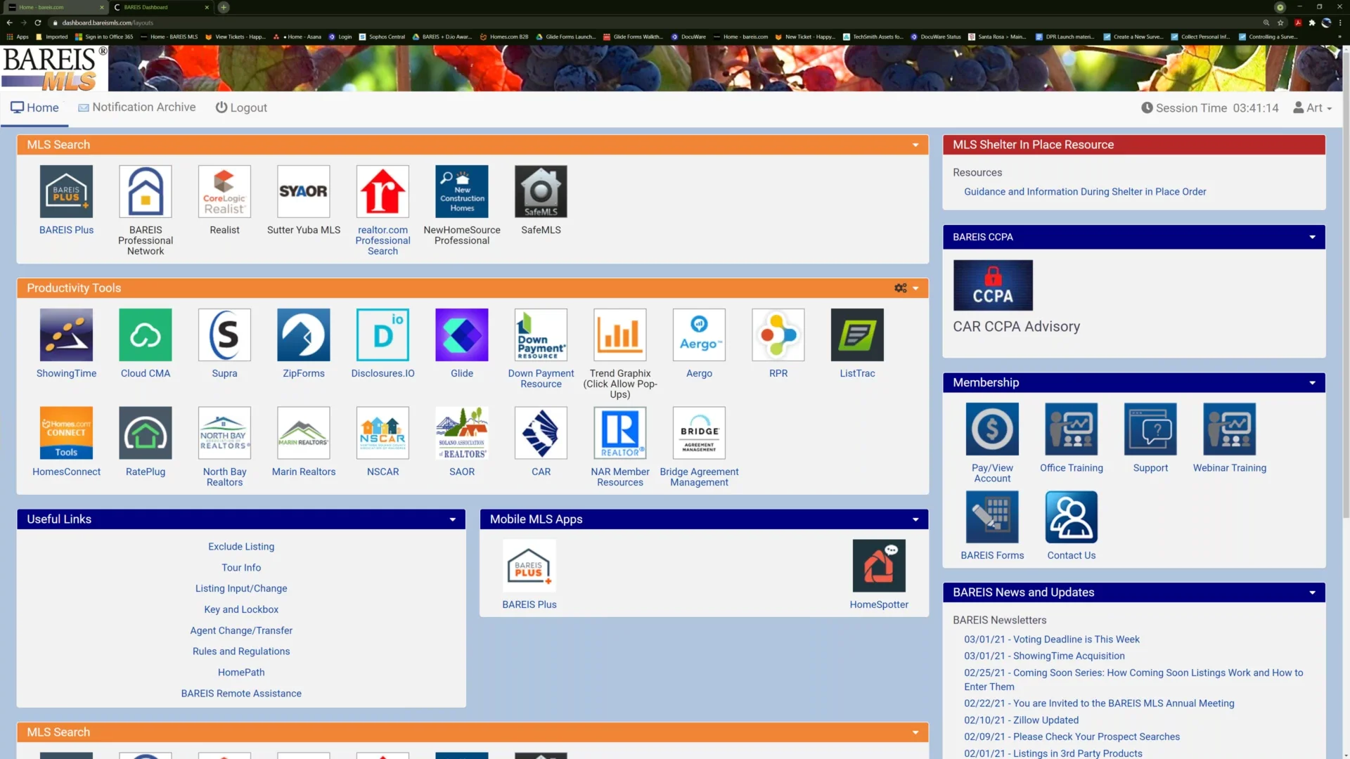 BAREIS Professional Network