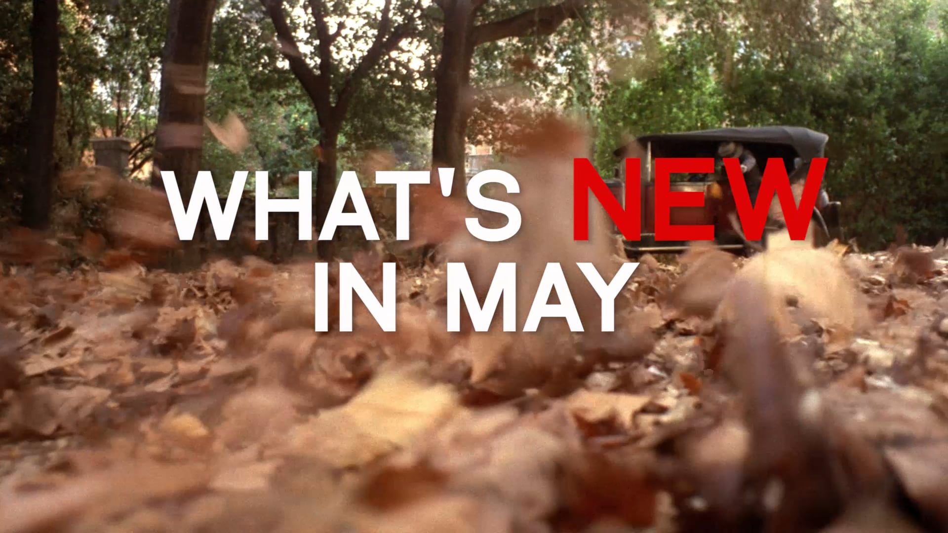 WHAT'S NEW IN MAY on Vimeo