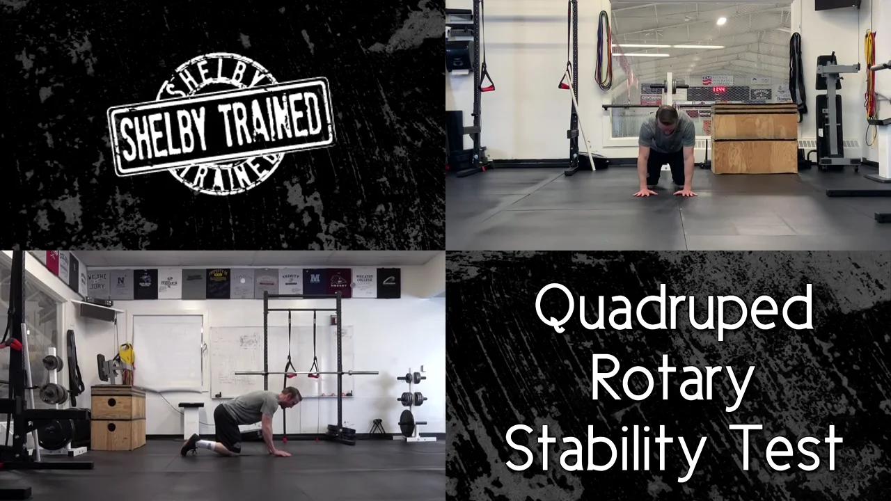 Quadruped Rotary Stability Test on Vimeo