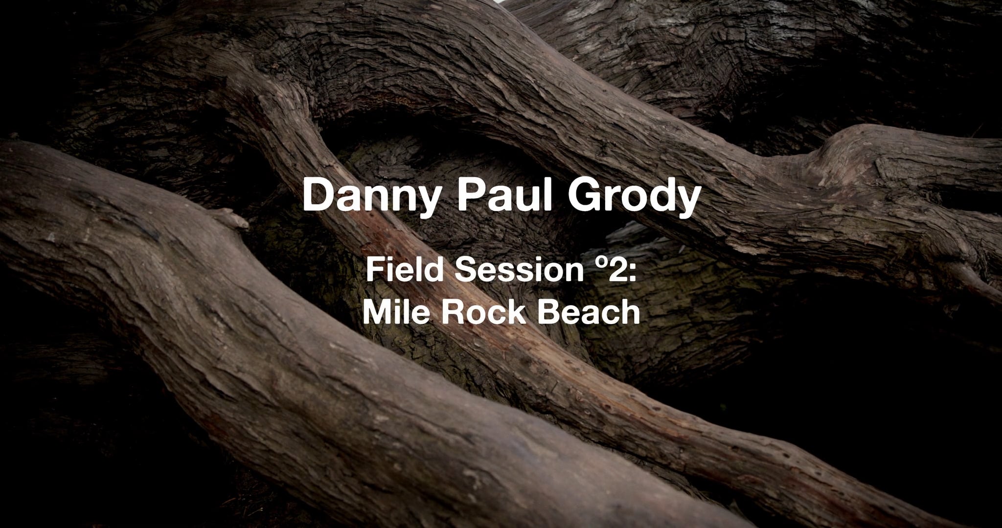 Danny Paul Grody: Field Session 02 on Vimeo