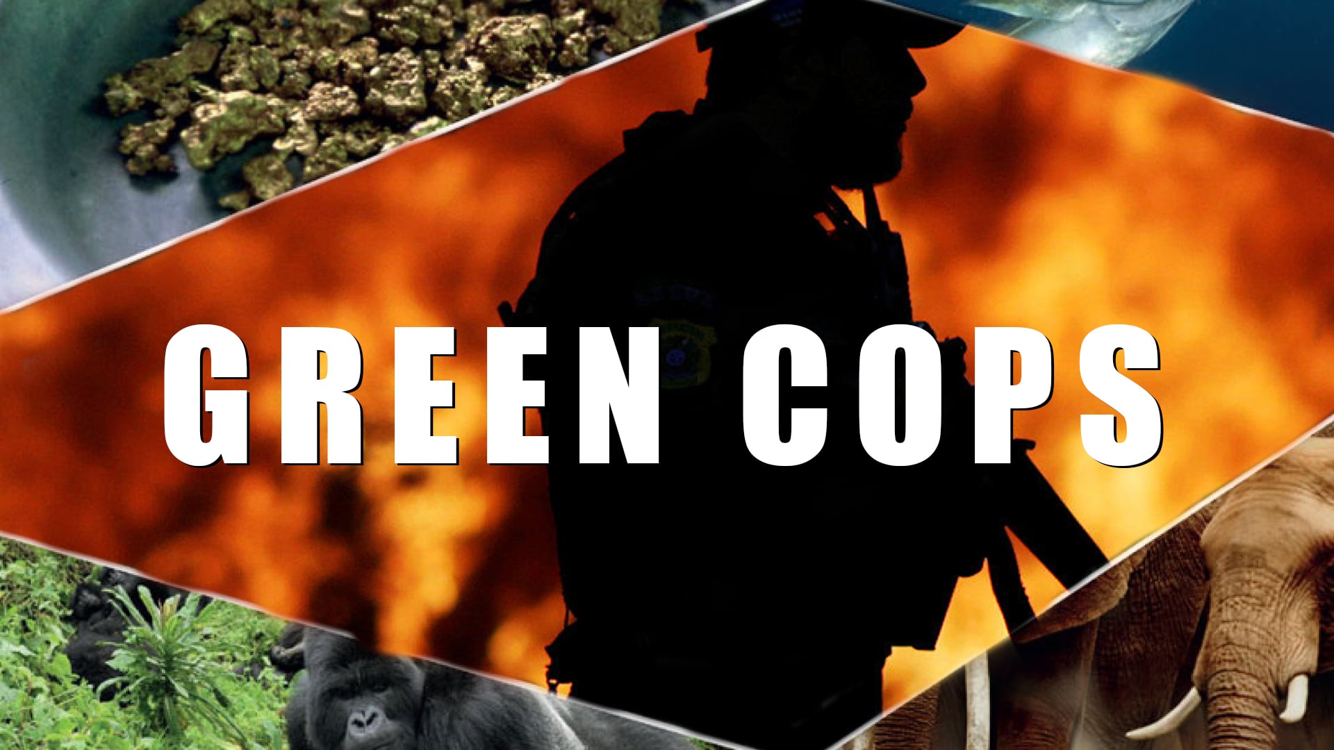 Watch Green Cops Online | Vimeo On Demand on Vimeo