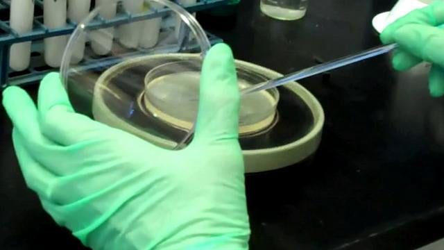 Dr. Shanta Modak on Vimeo