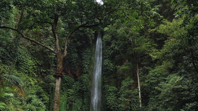 Waterfall River Trees Free Stock Video - Pixabay