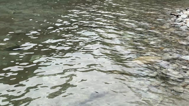 River Reflection Waves - Free video on Pixabay