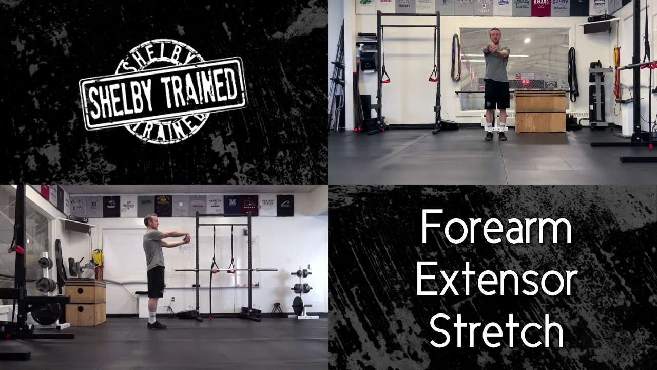 Forearm Extensor Stretch