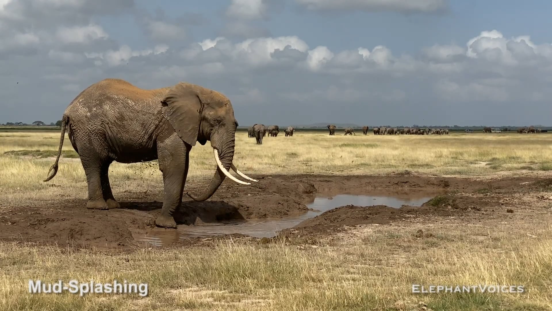 Mud-Splashing. Context: Maintenance (9) on Vimeo