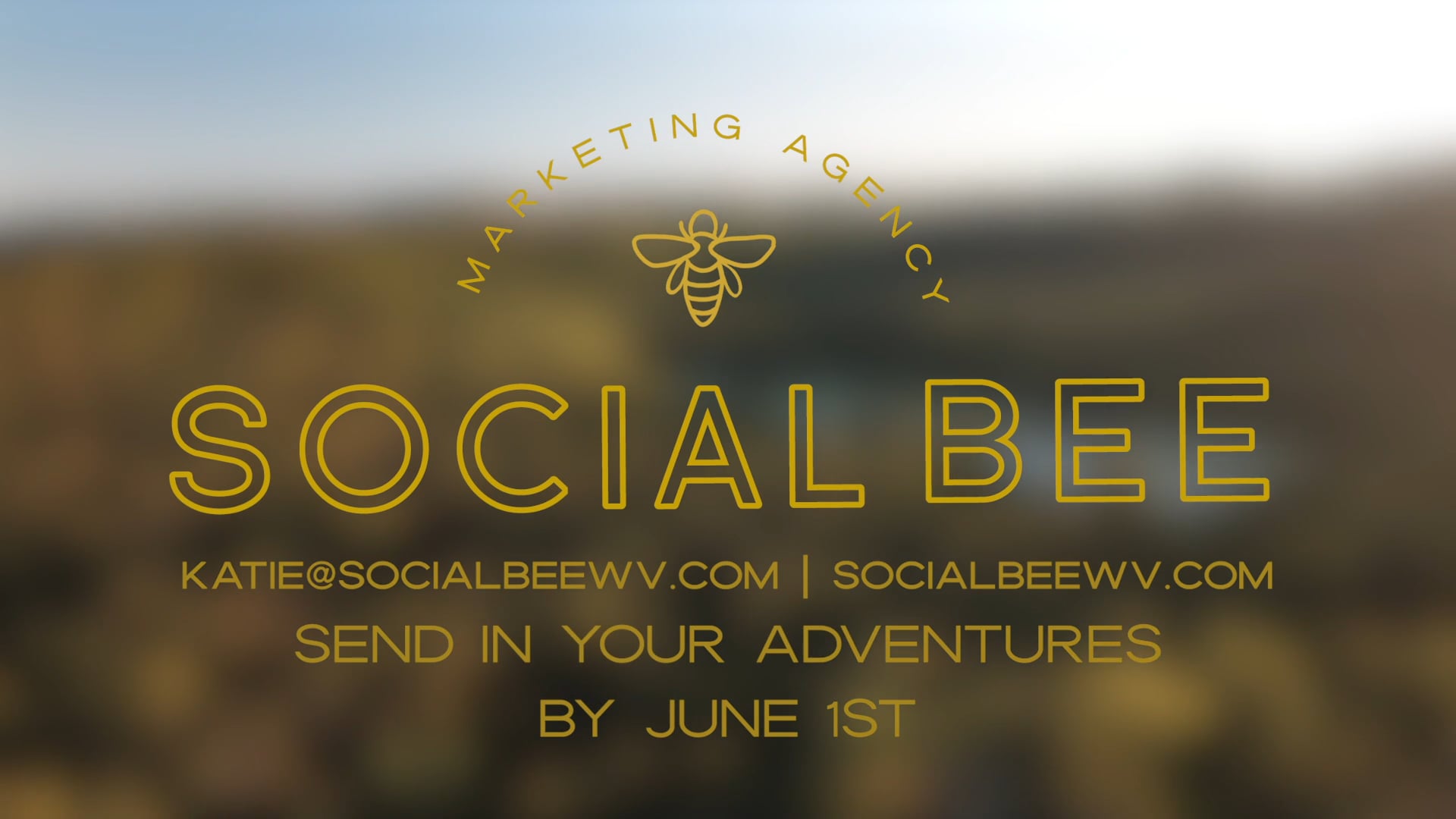 The Social Bee Marketing Agency | West Virginia Day Video Contest ...