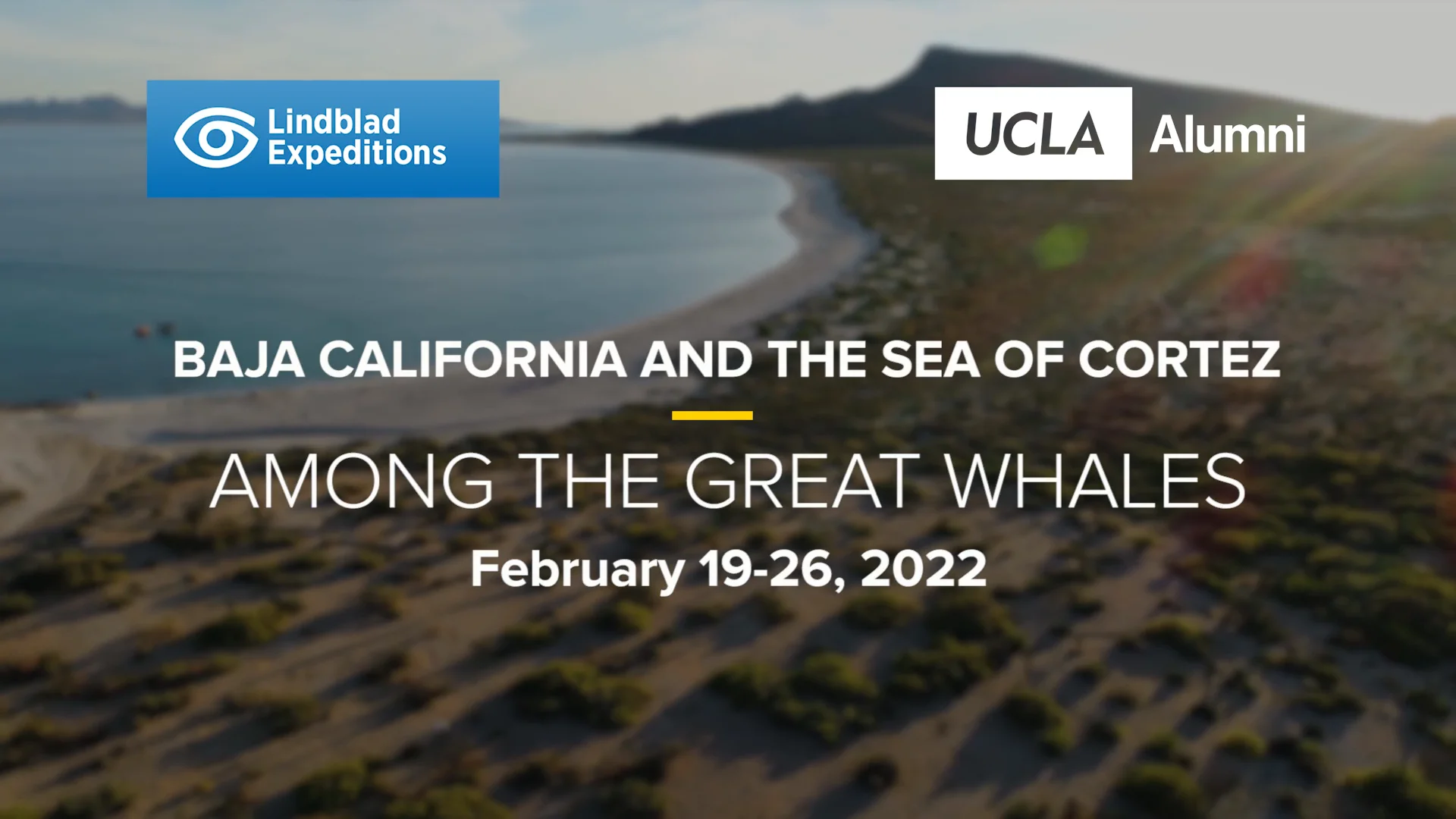 Baja and the Sea of Cortez - Among the Great Whales - UCLA Alumni on Vimeo