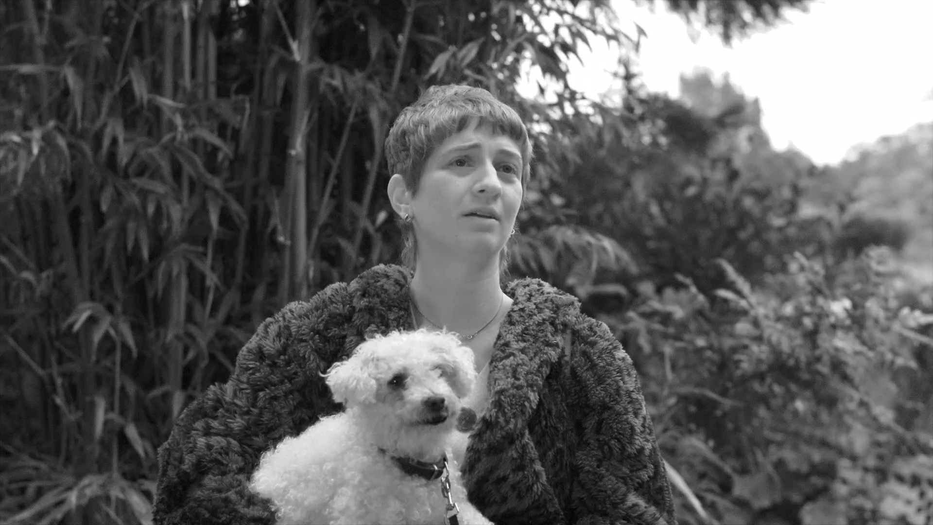 Patrick Goddard, Animal Antics, 2021 on Vimeo