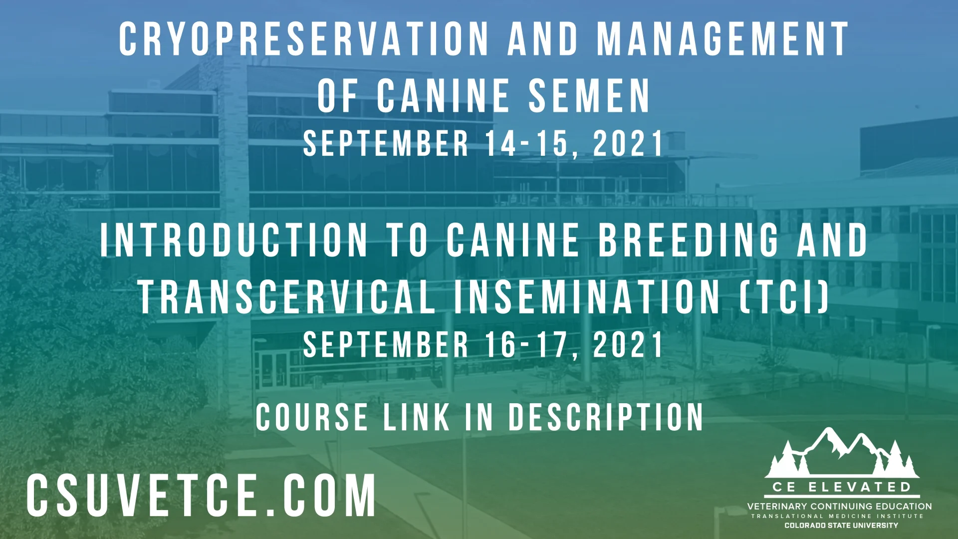 Cryopreservation & Management of Canine Semen/Introduction to Canine ...