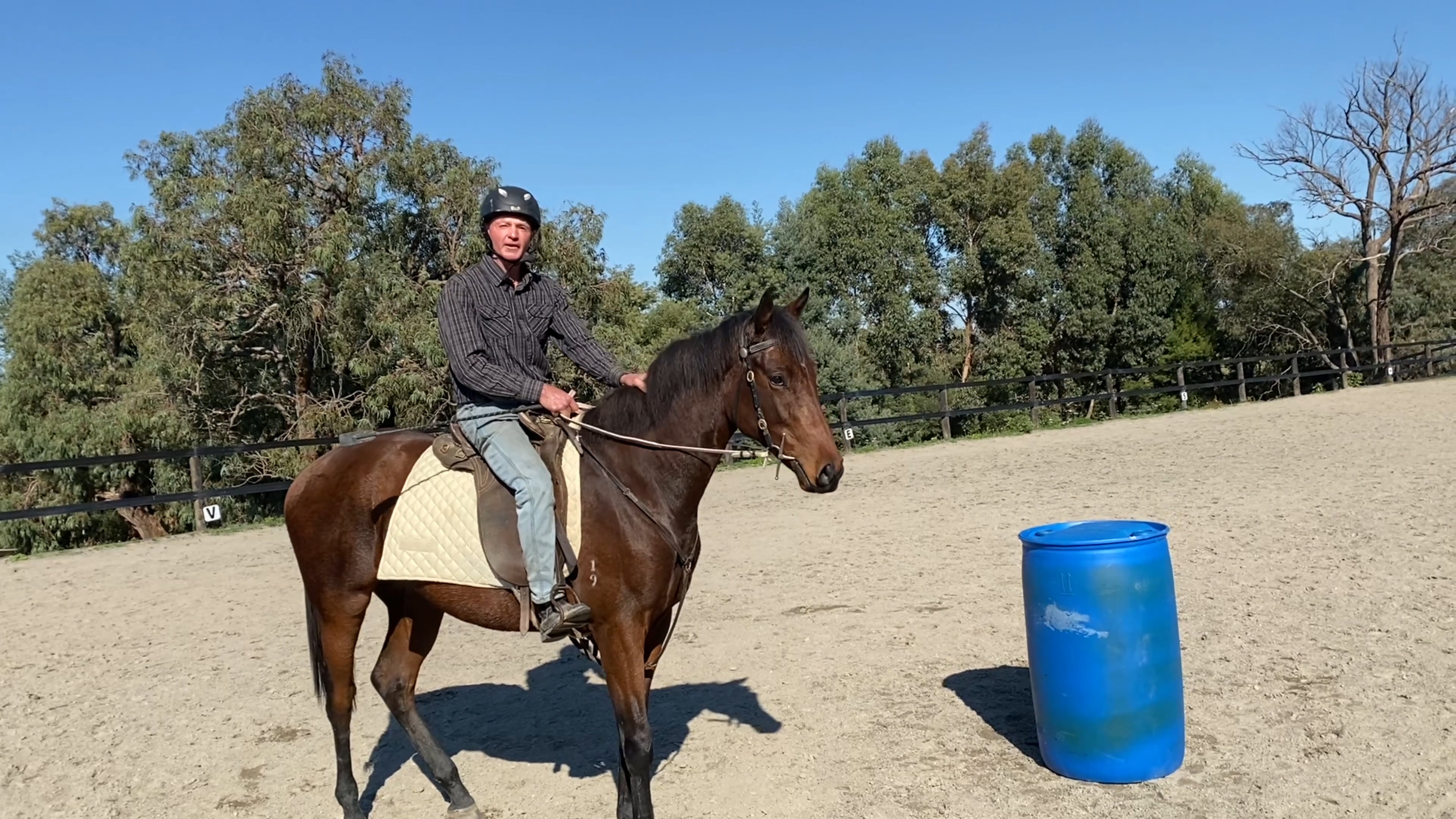 A Day at the Breakers with Jamie Bayliss and our stunning Artie ...