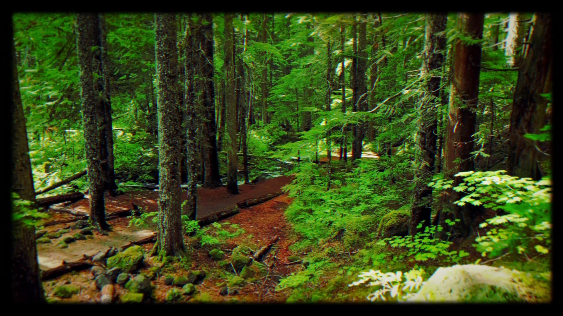 Watch Bigfoot's Bride Online | Vimeo On Demand on Vimeo