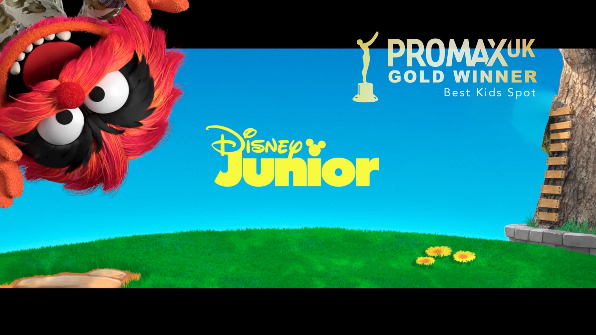 Disney Junior | Rebrand Launch on Vimeo