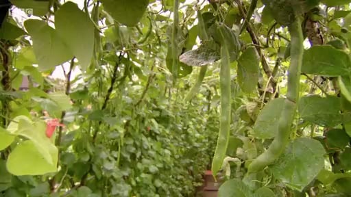 Mr blooms Nursery beanland on Vimeo
