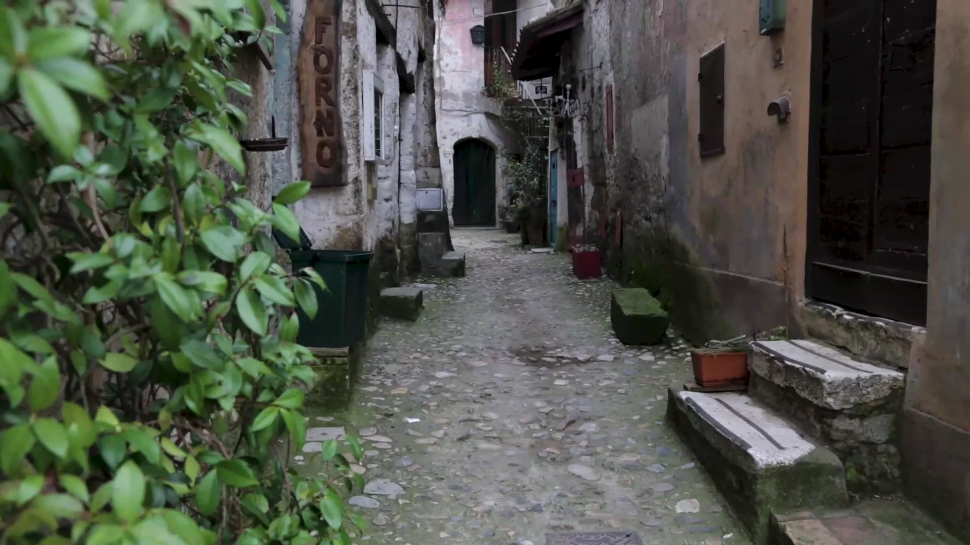 Cats of Calcata on Vimeo