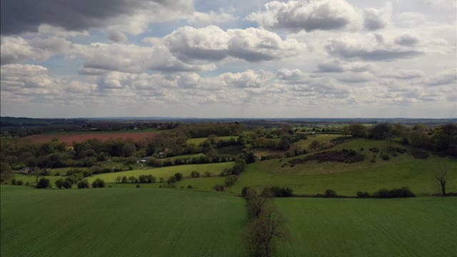 Field Valley Forest - Free video on Pixabay