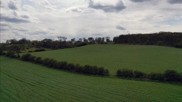 Field Valley Forest - Free video on Pixabay