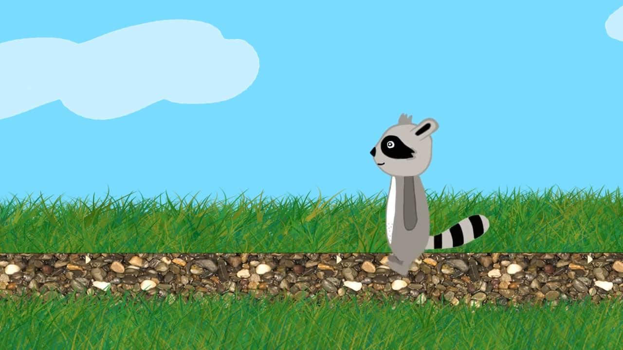 Charlie the Raccoon by Julia Bristow, Applications in CG, Spring 2021 ...
