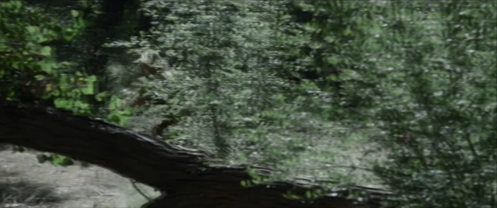 take me down easy.mp4 on Vimeo