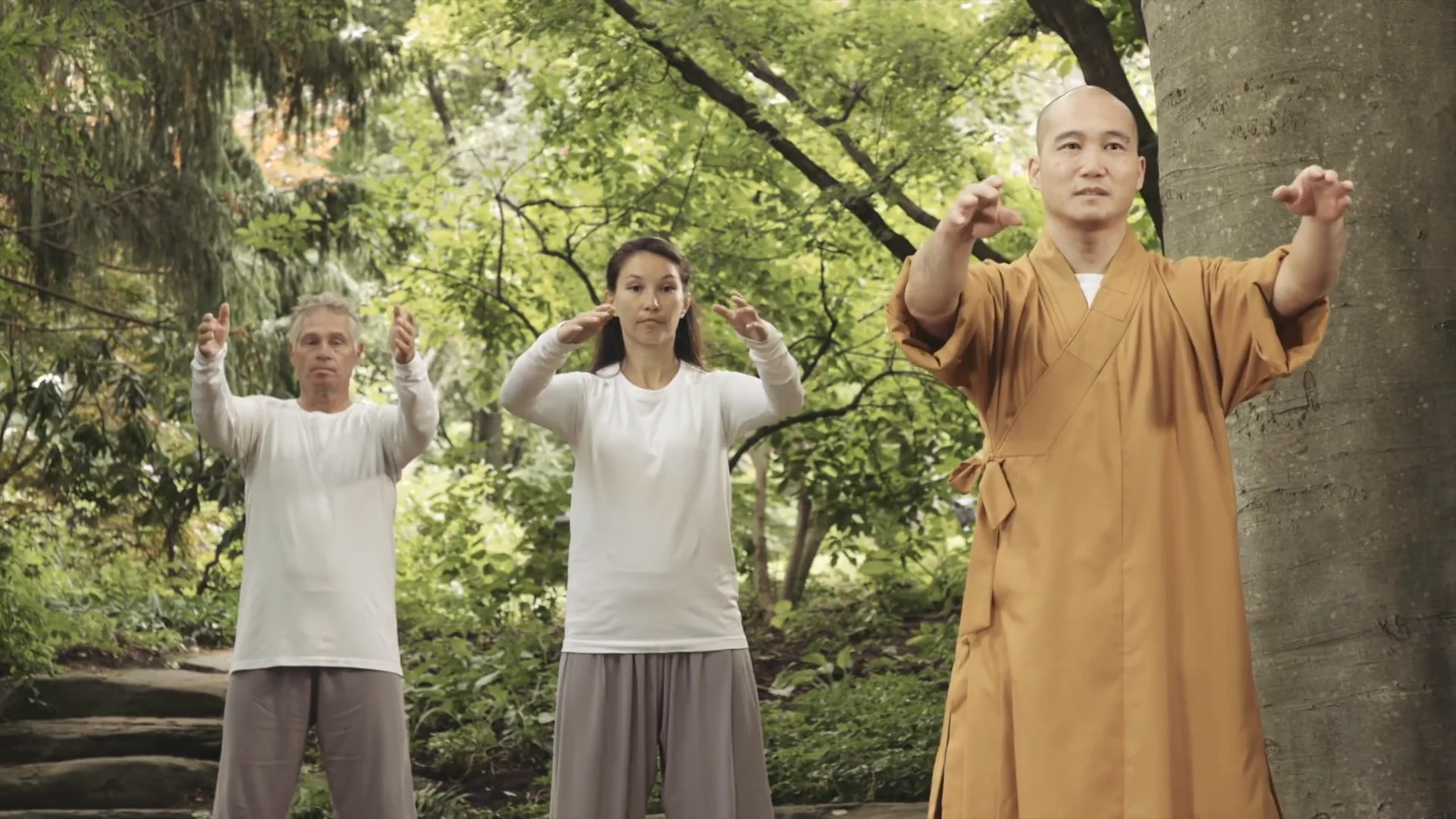 Shaolin Tai Chi - Shaolin Tai Chi - S01E08 - Flowing Movements Through ...