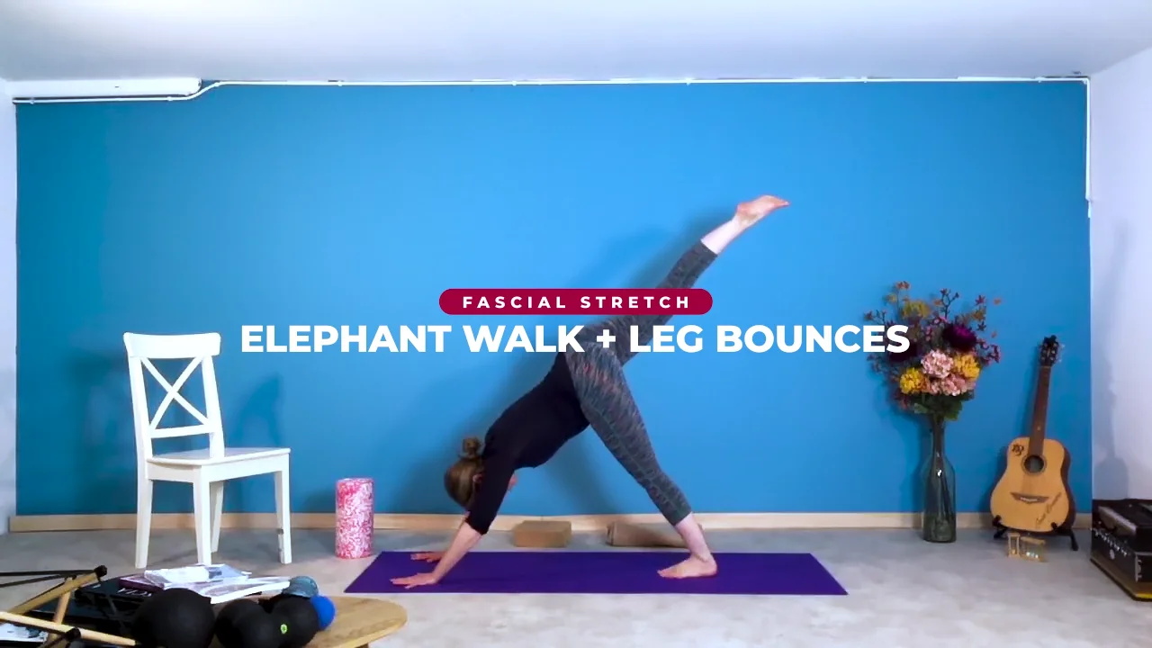 Fascial Stretch- Elephant Walk + Leg Bounces.mp4 on Vimeo