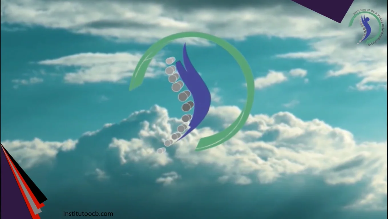 Córtex pré-frontal [Desenho esquemático].mp4 on Vimeo