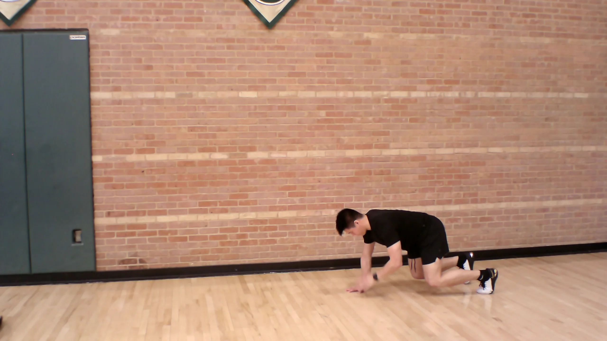 Shoulder Taps from Bear Position
