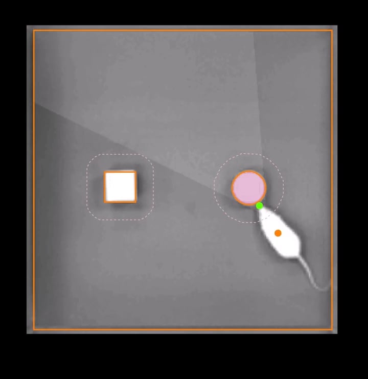 NOR - White mouse white objects on Vimeo