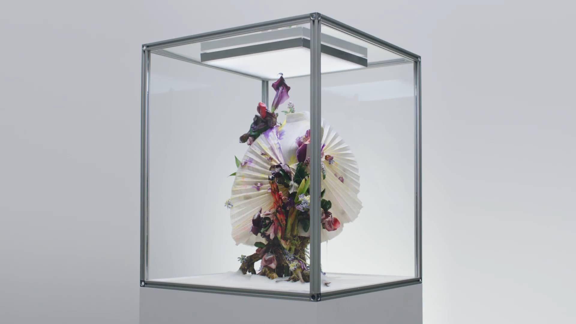 Del Core | Debut Film on Vimeo