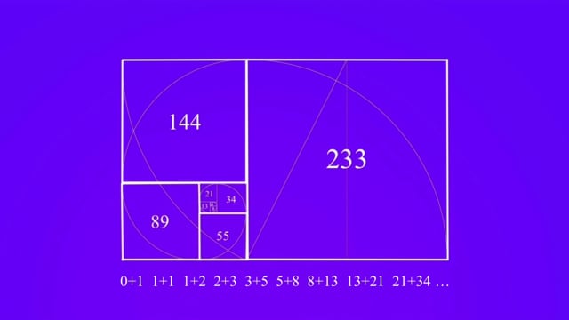 Fibonacci Videos: Download 6+ Free 4K & HD Stock Footage Clips - Pixabay