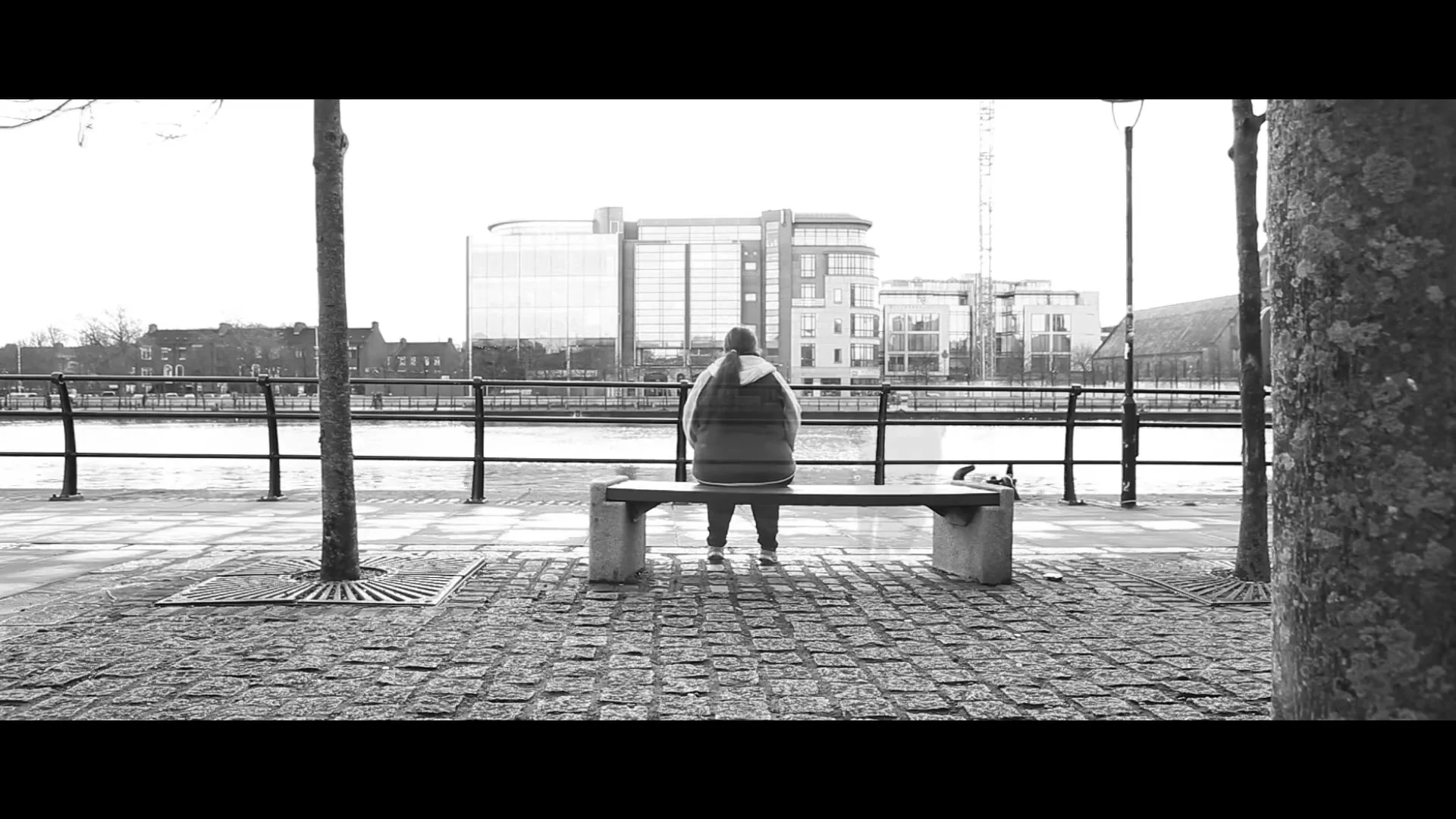 SAOL: The DAVINA Project on Vimeo